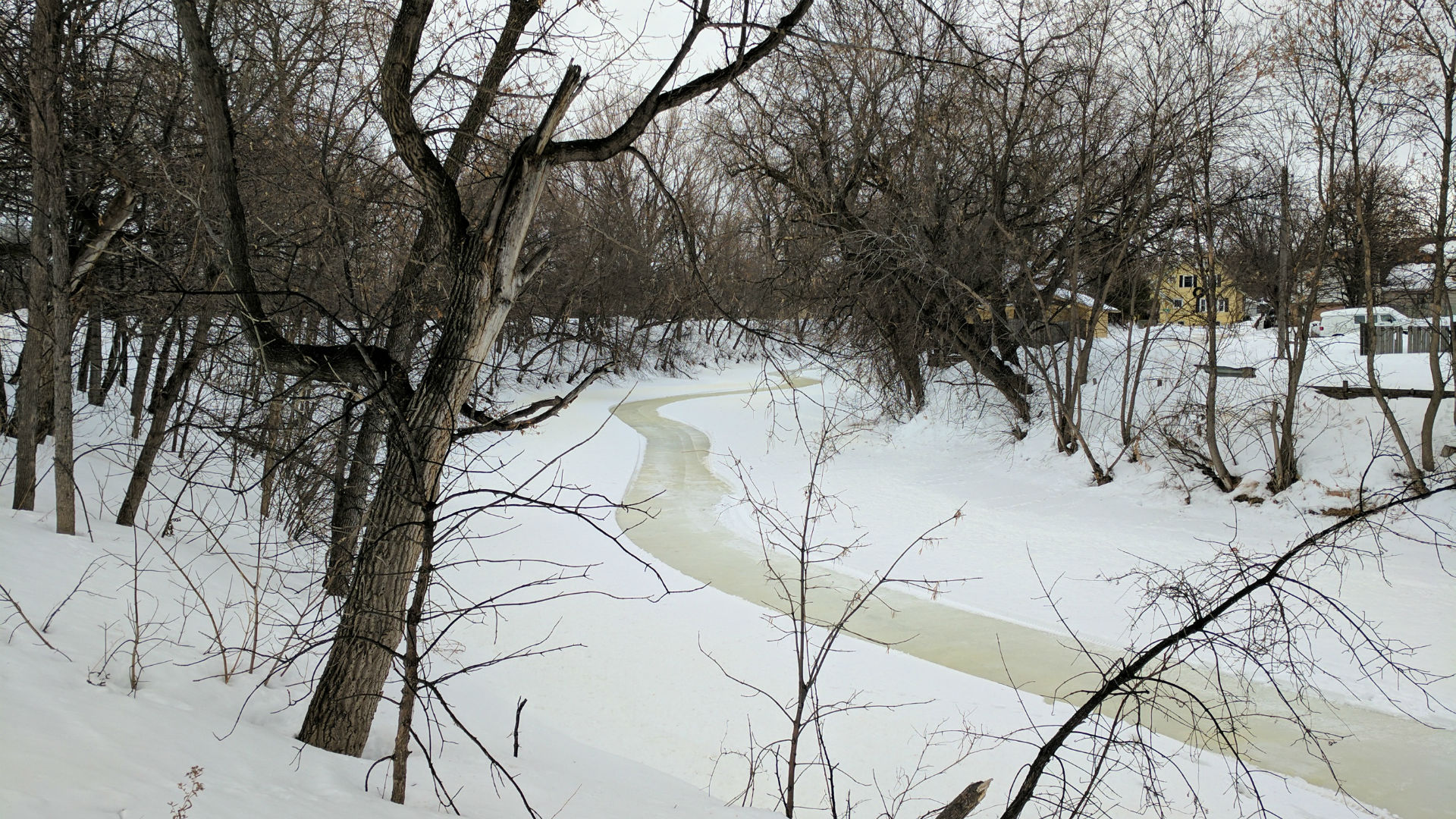 Skate Eastwood Park! Here’s the Skinny on Minot’s Newest Winter ...