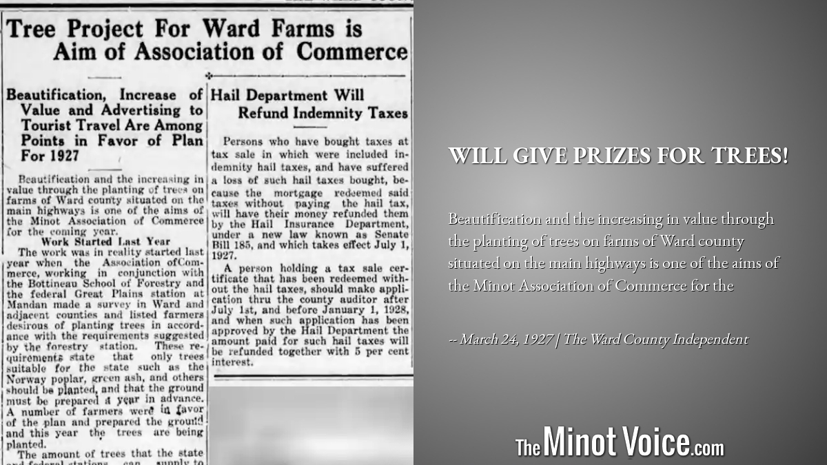 On This Day | Will Give Prizes for Trees! – TheMinotVoice.com