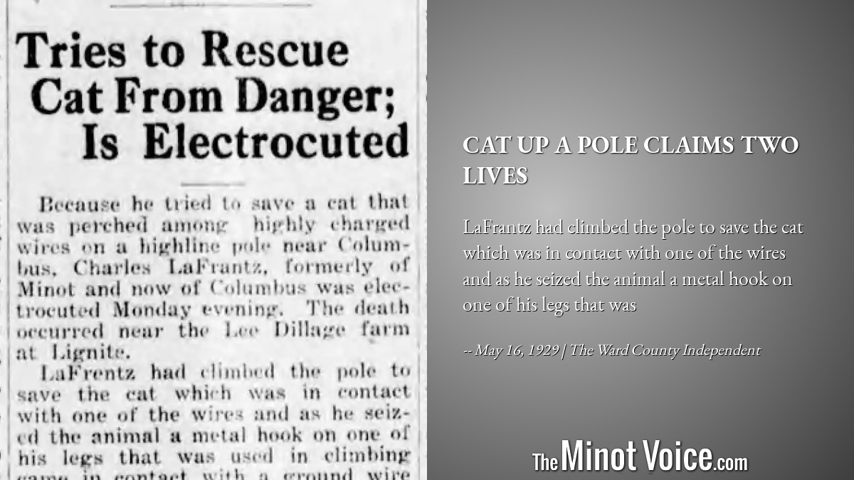 On This Day | Cat Up a Pole Claims Two Lives – TheMinotVoice.com