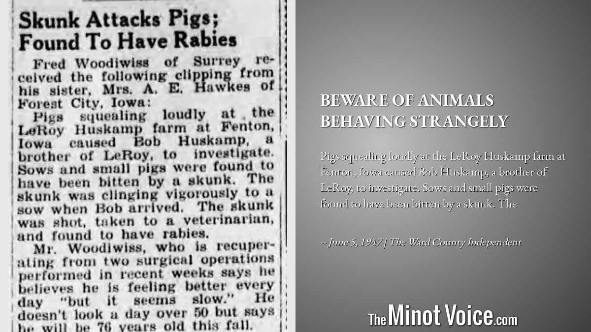 On This Day | Beware of Animals Behaving Strangely – TheMinotVoice.com