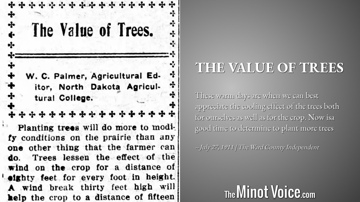 On This Day | The Value of Trees – TheMinotVoice.com
